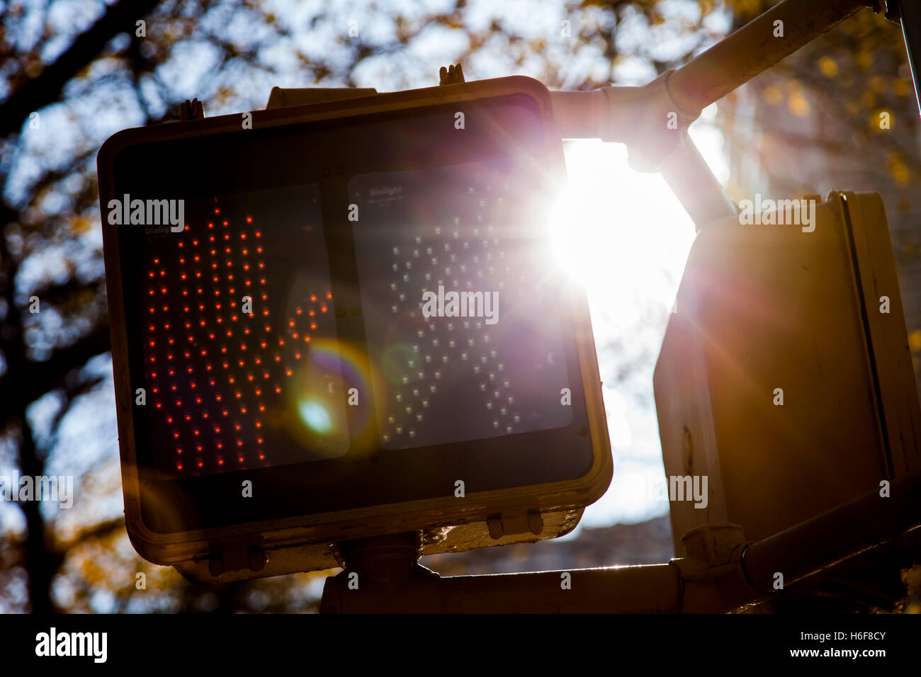Traffic light for pedestrians back lit by the afternoon sun Stock Photo ...