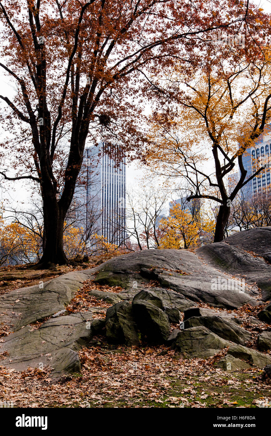 Rocky hill with leaving trees on its top, on Central Park, New York ...