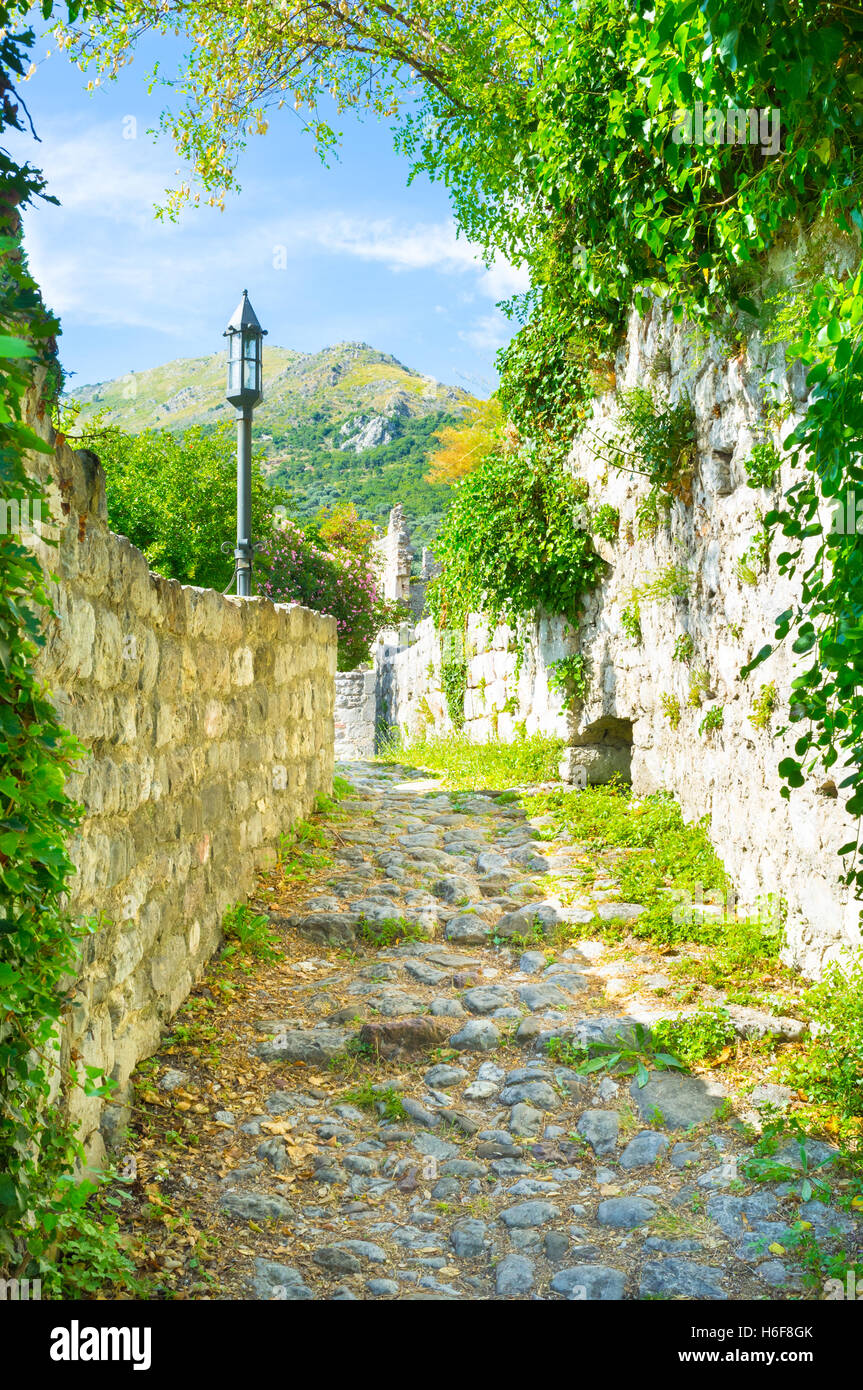 The medieval stone road with the worn steps, Stari Bar, Montenegro ...