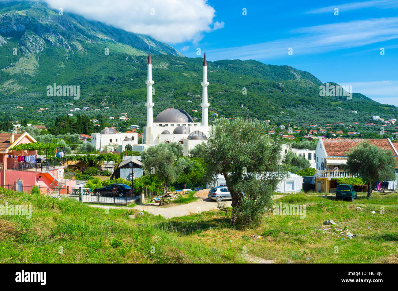 Mosque of the olive tree mosque hi-res stock photography and images - Alamy