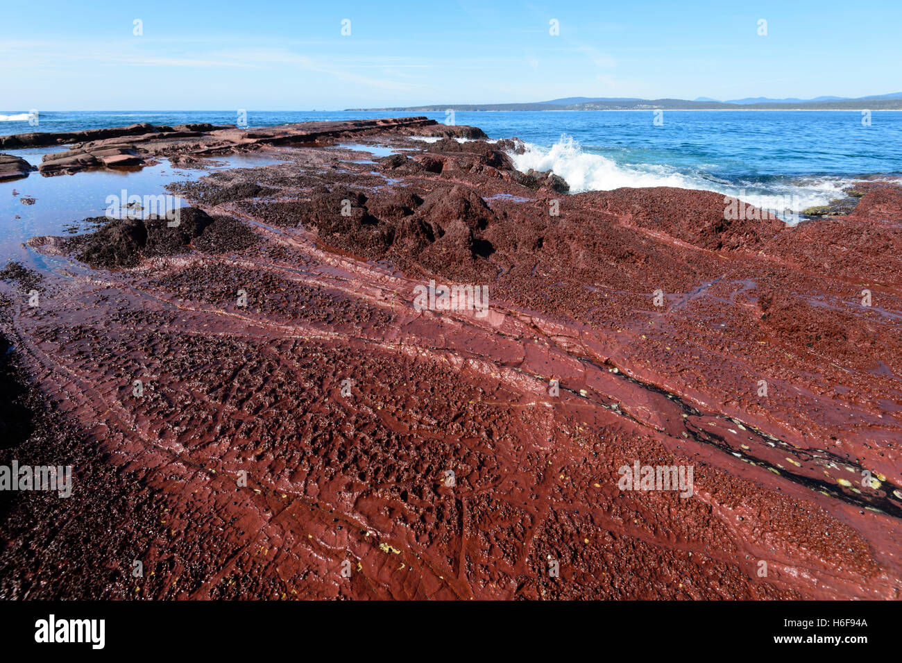 Iron oxide stained rocks, Merimbula, Sapphire Coast, New South Wales ...