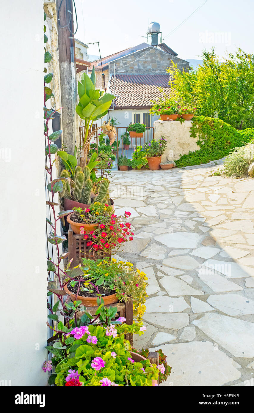 The most popular decorations of mountain villages in Cyprus are flowers ...