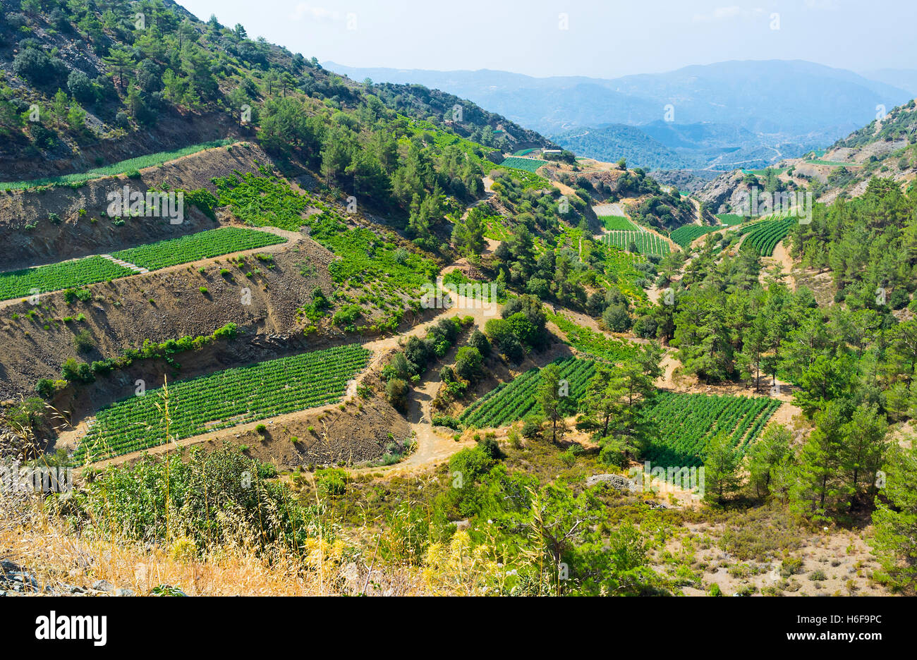 The agriculture lands in Troodos mountains, the terraced gardens ...
