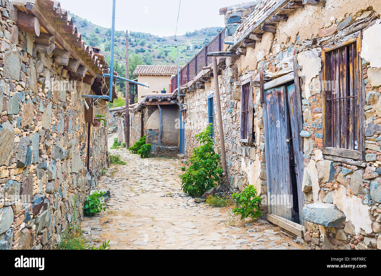 The village houses, built of timber and stone, preserved as the open ...