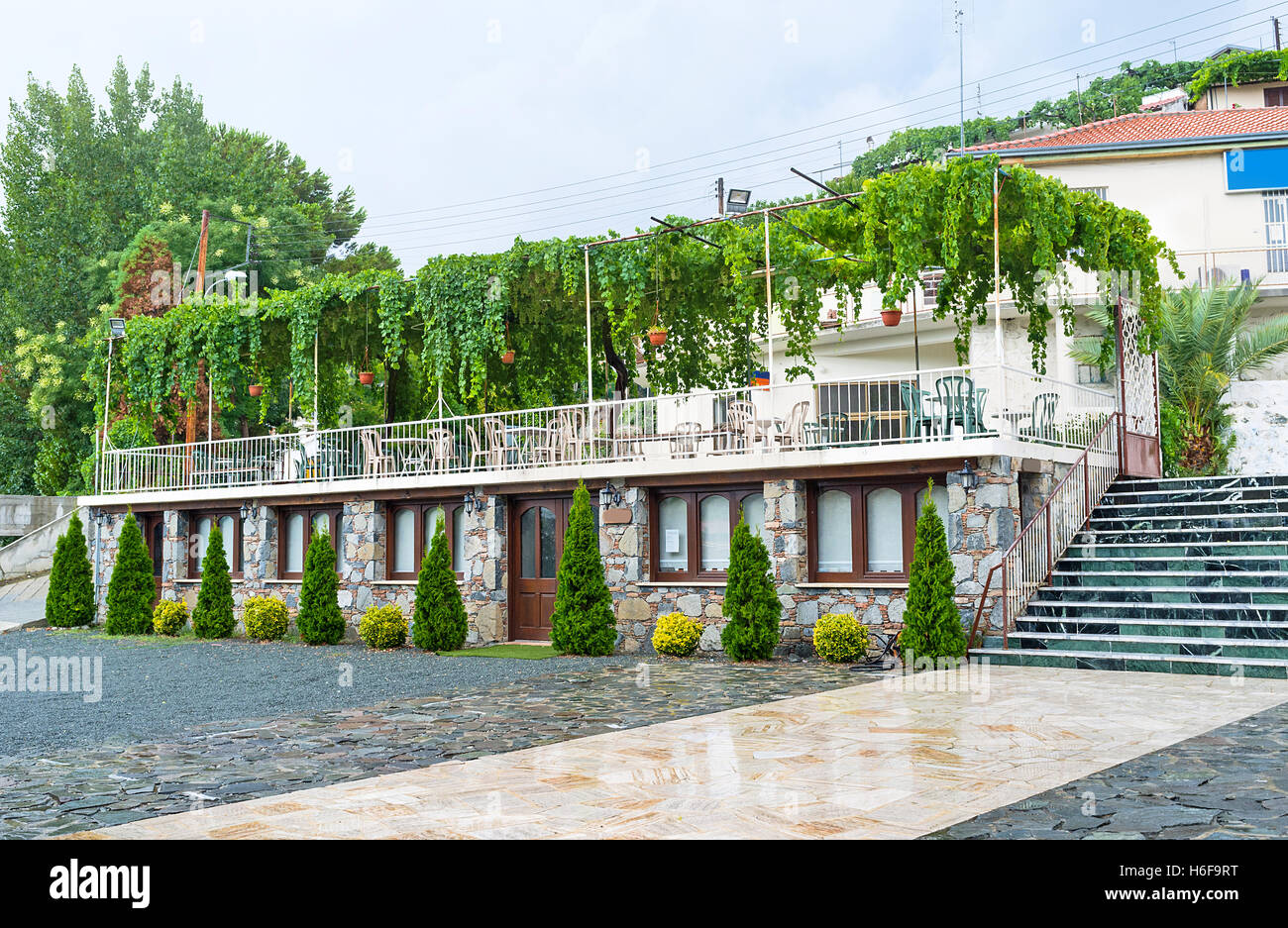 The nice summer cafe with the scenic terrace, covered with the grape ...