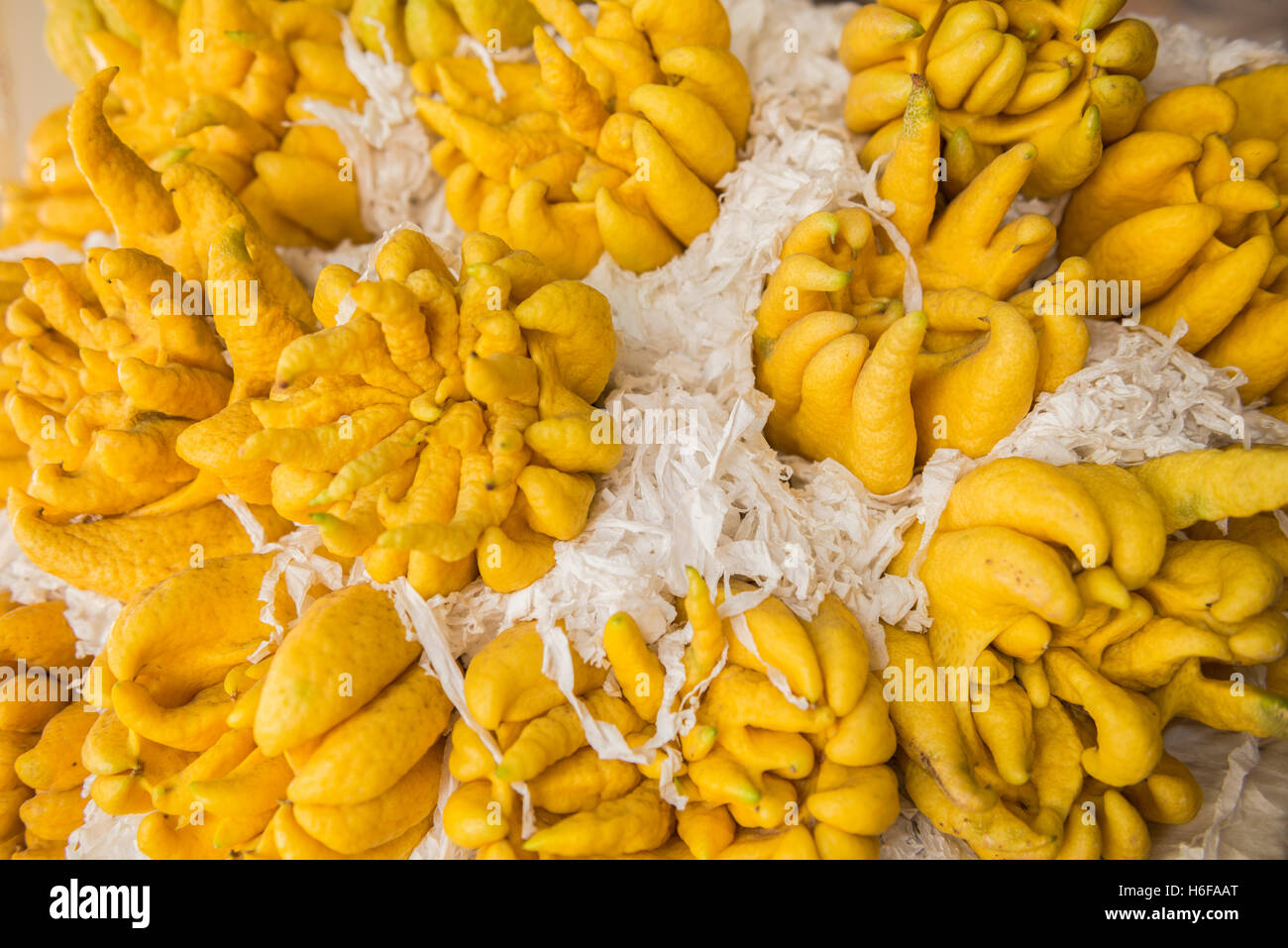 Buddha's hand fruit or fingered citron Stock Photo - Alamy