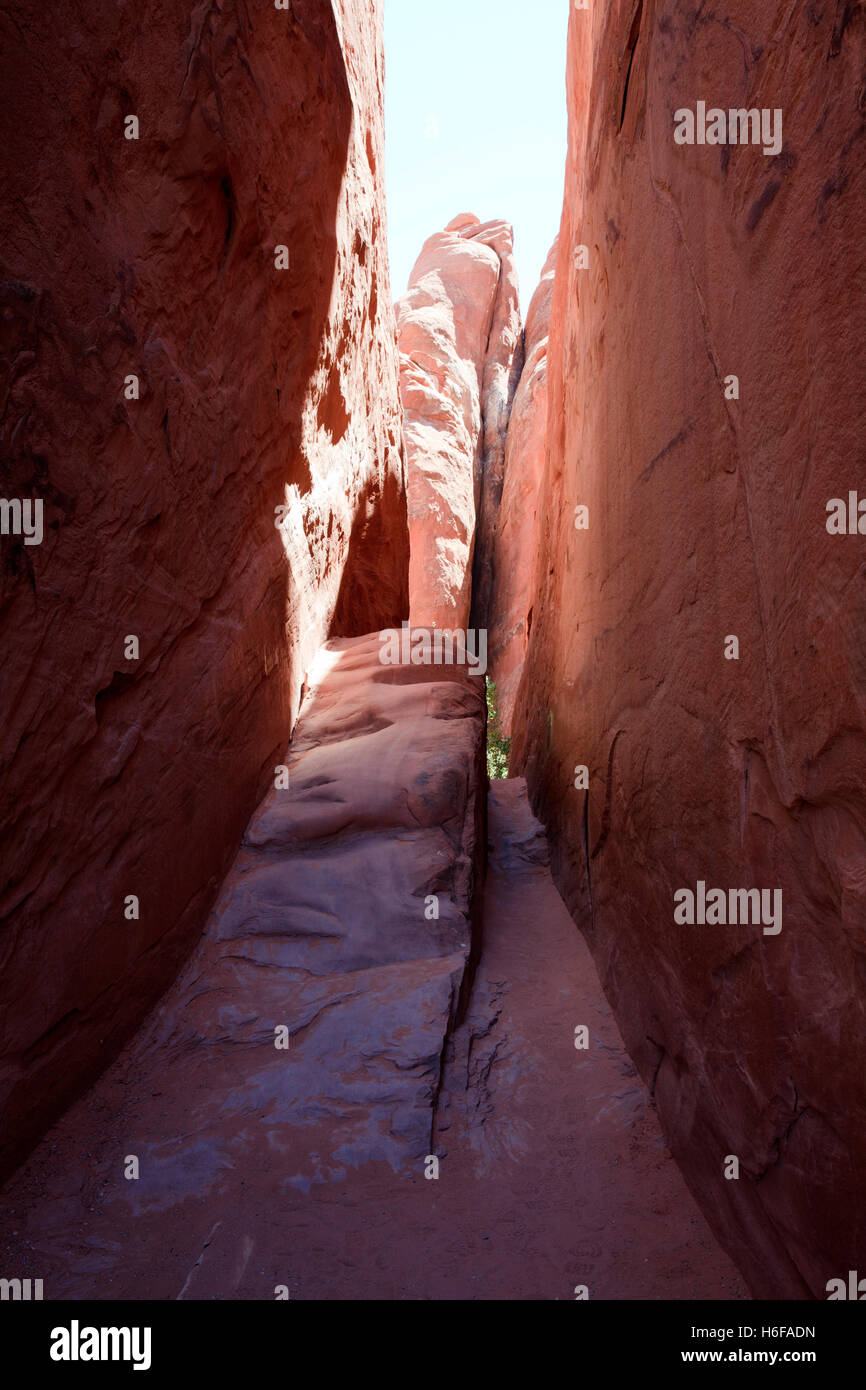 Arches National Park, Moab, Utah, USA Stock Photo - Alamy