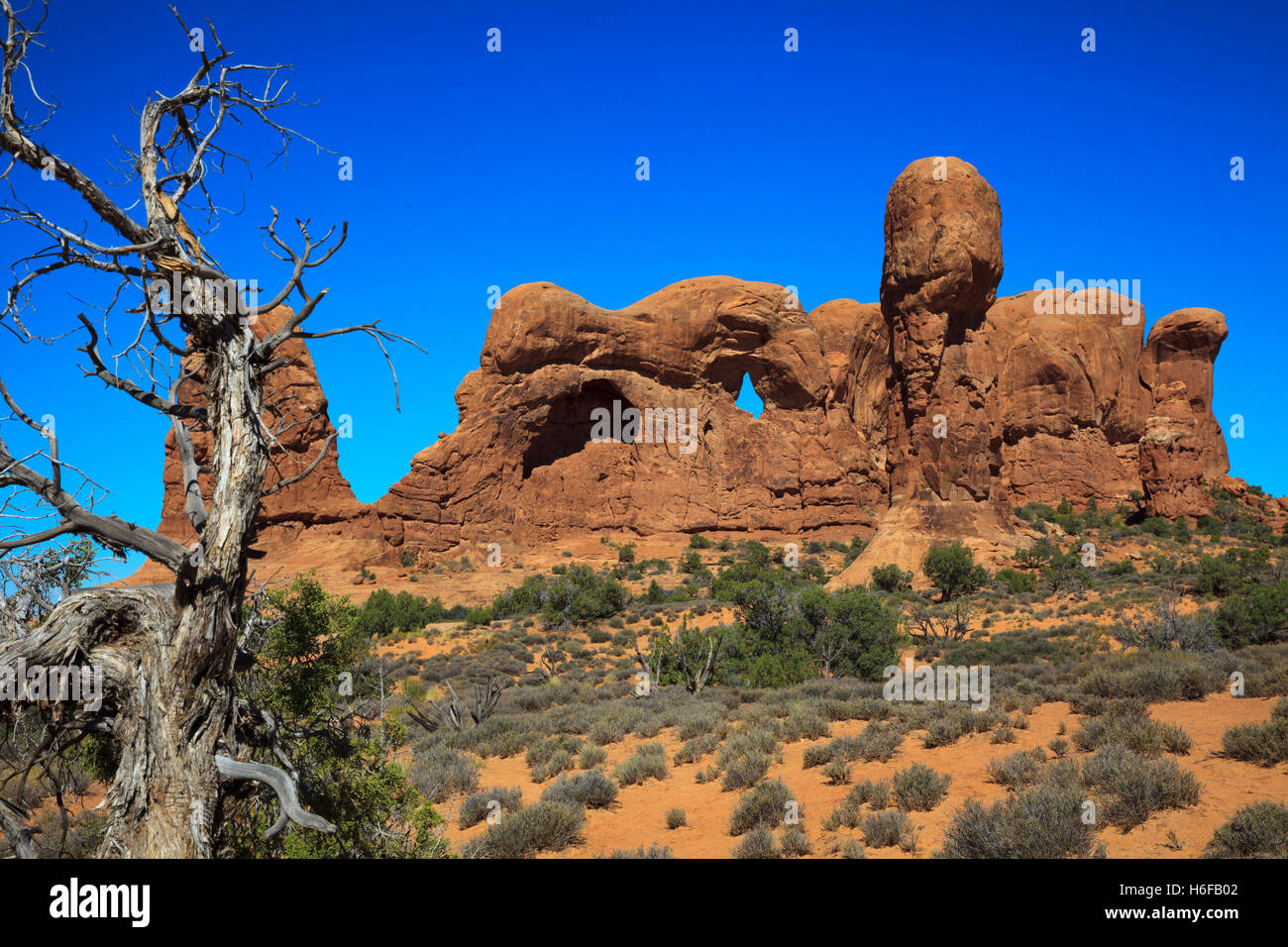 Arches National Park, Moab, Utah, USA Stock Photo - Alamy