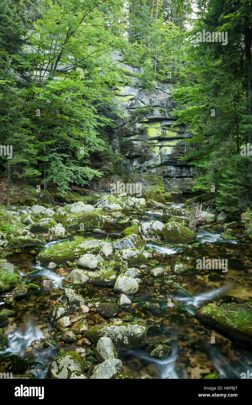 Forest stream running over mossy rocks Stock Photo - Alamy