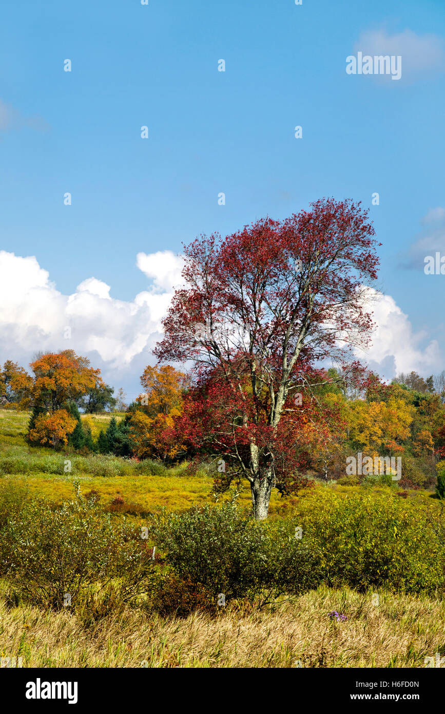 Upstate New York Fall Foliage High Resolution Stock Photography and ...