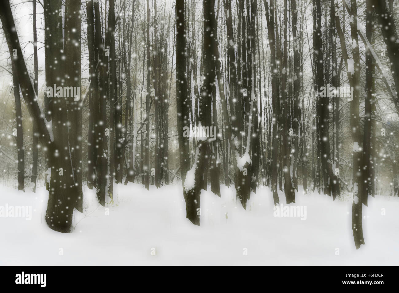 Snowfall backgrounds hi-res stock photography and images - Alamy