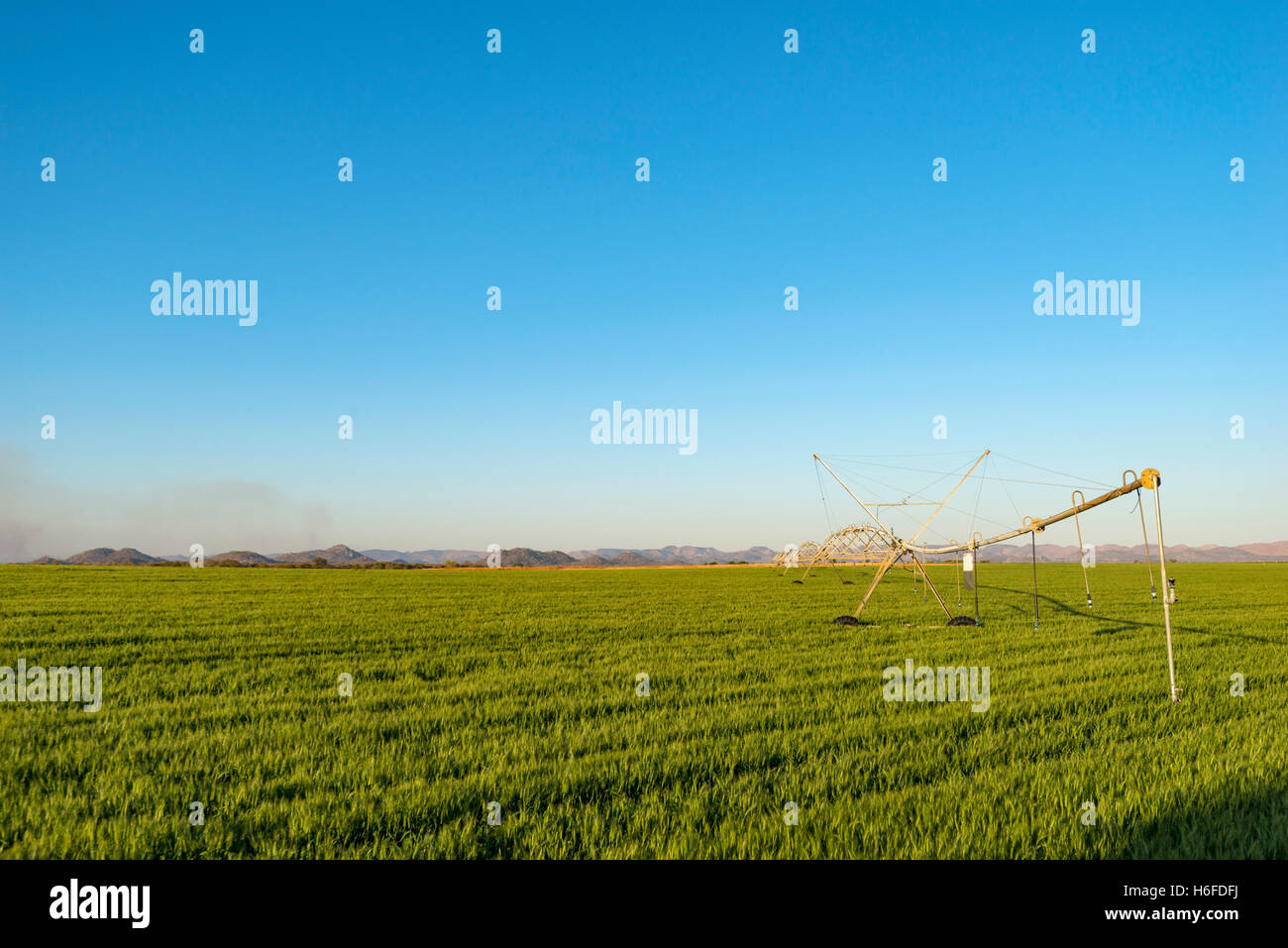 Pivot feeding hi-res stock photography and images - Alamy