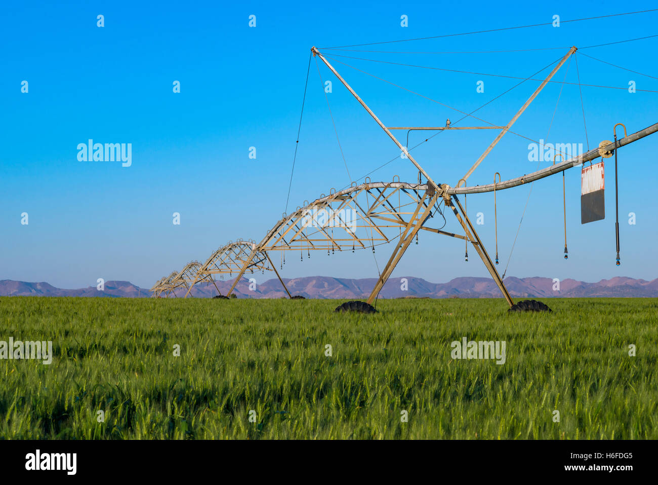 Pivot feeding hi-res stock photography and images - Alamy