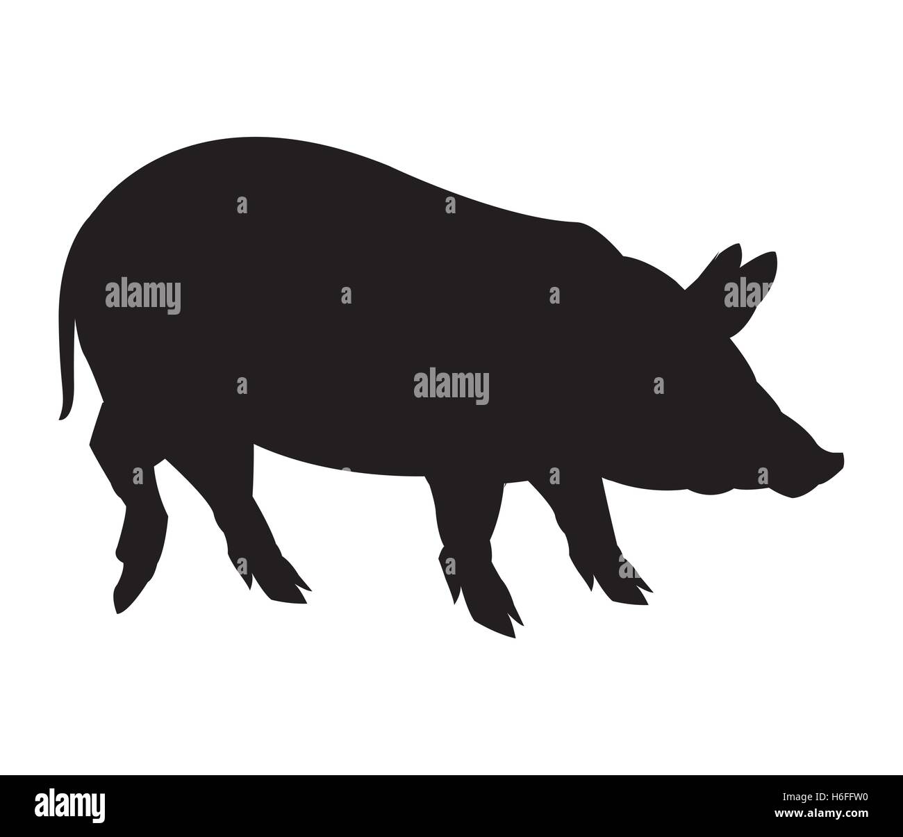 Black and white pig design Stock Vector Image & Art - Alamy