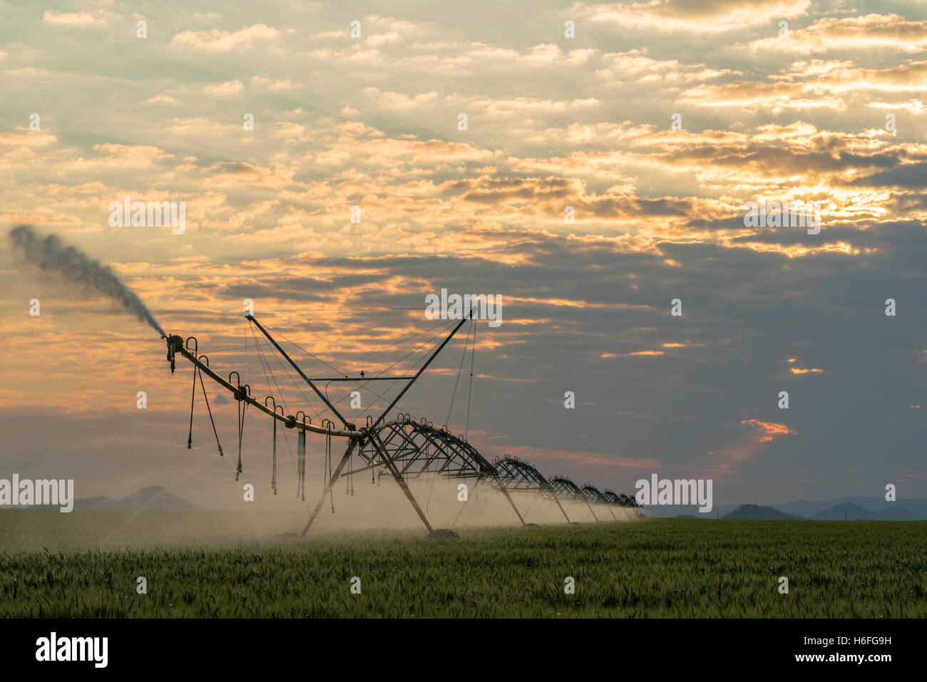 Pivot irrigation hi-res stock photography and images - Alamy