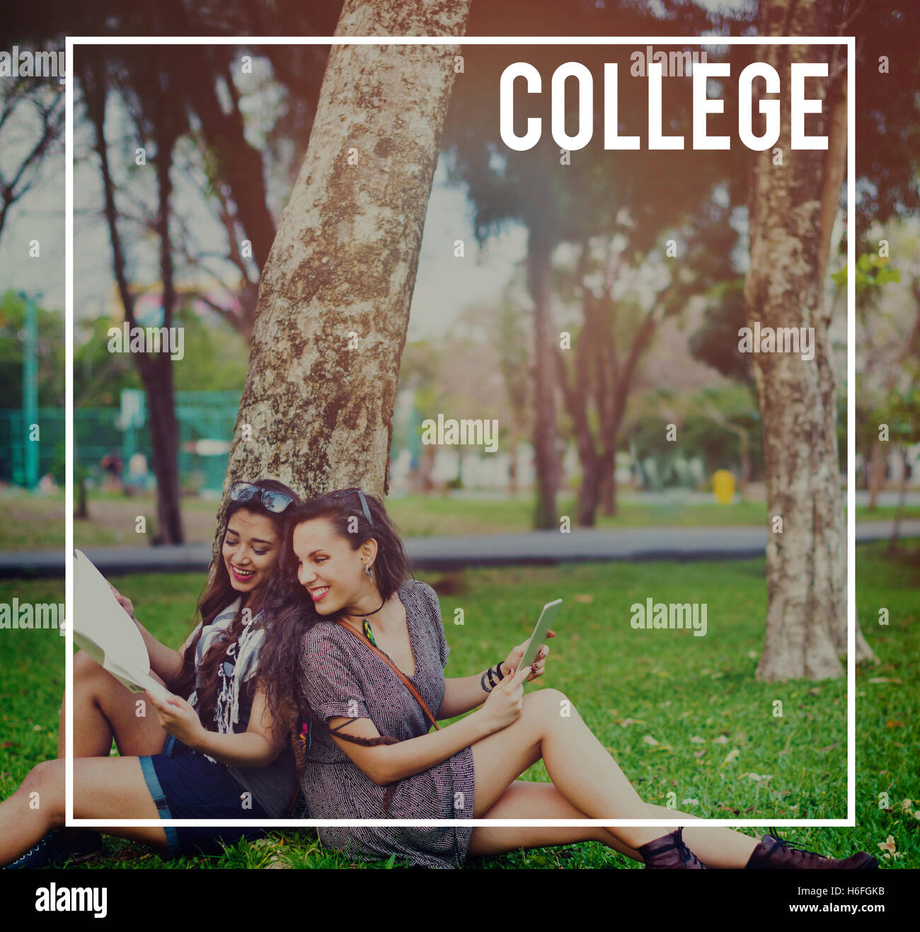 College University Education Learning Concept Stock Photo - Alamy