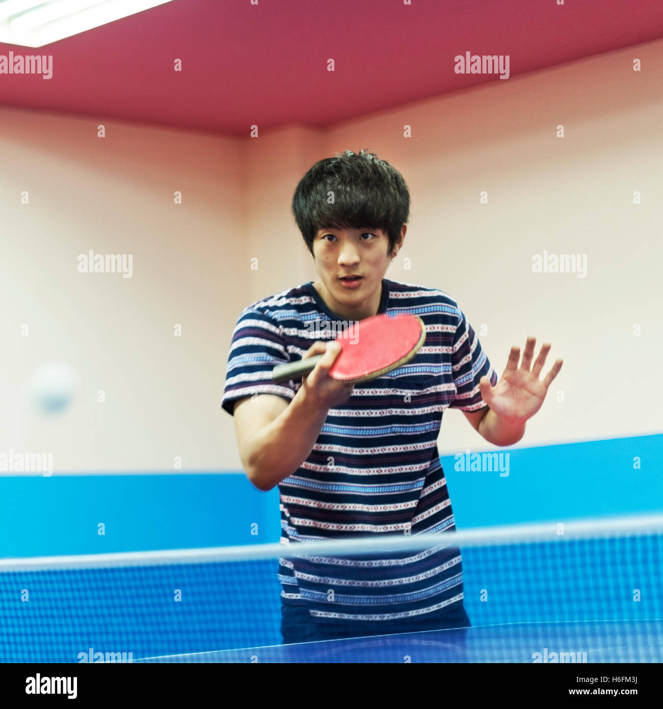 Table Tennis Ping-Pong Sport Activity Concept Stock Photo - Alamy