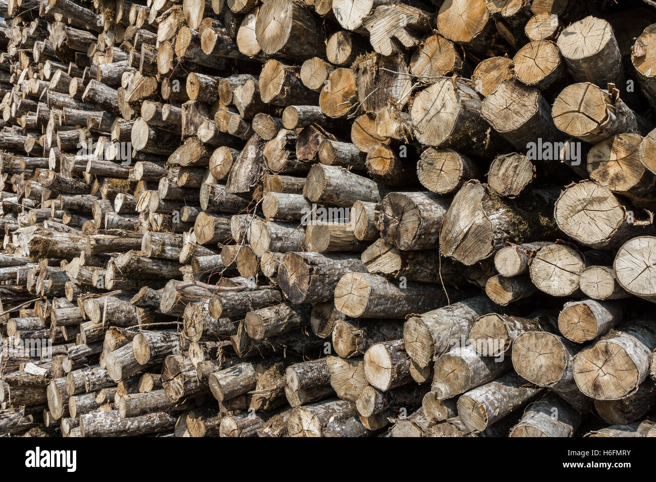 Winter log stock pile hi-res stock photography and images - Alamy