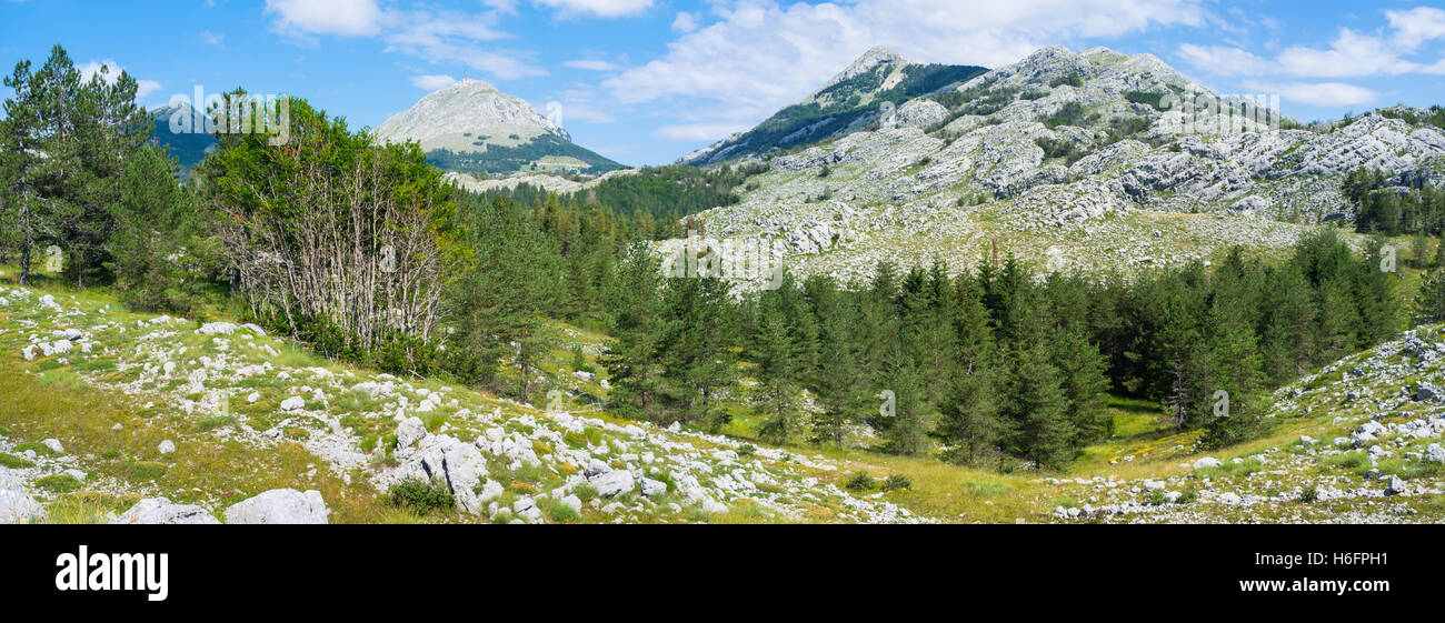 The small valley with the coniferous forest and the Lovcen Mountain on ...