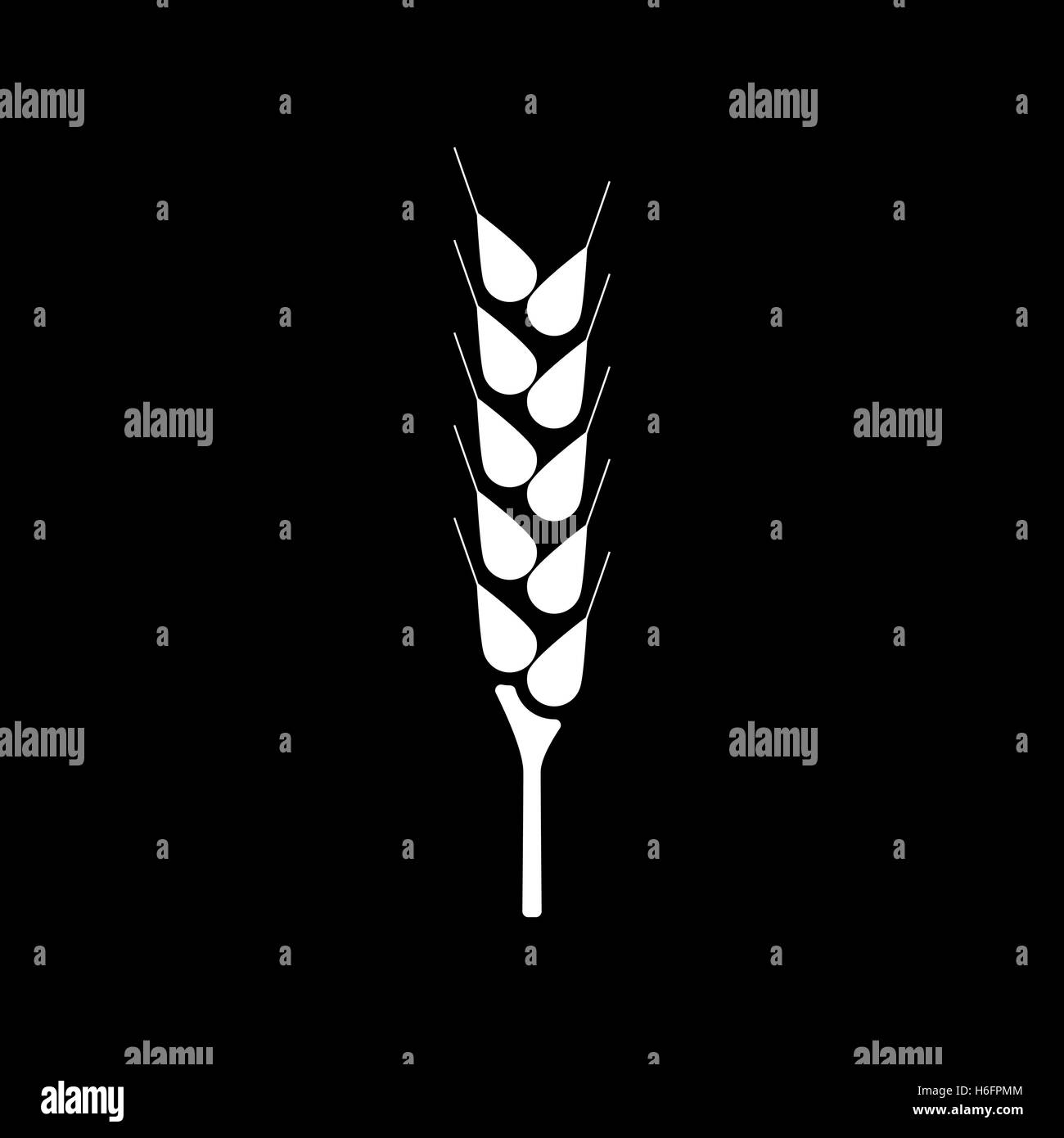 The wheat icon. Spica symbol. Flat Vector illustration Stock Vector ...
