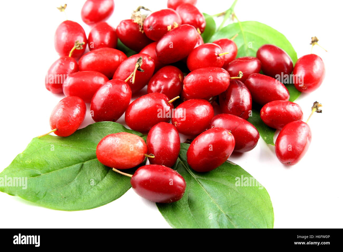 Cornelian cherry fruits hi-res stock photography and images - Alamy