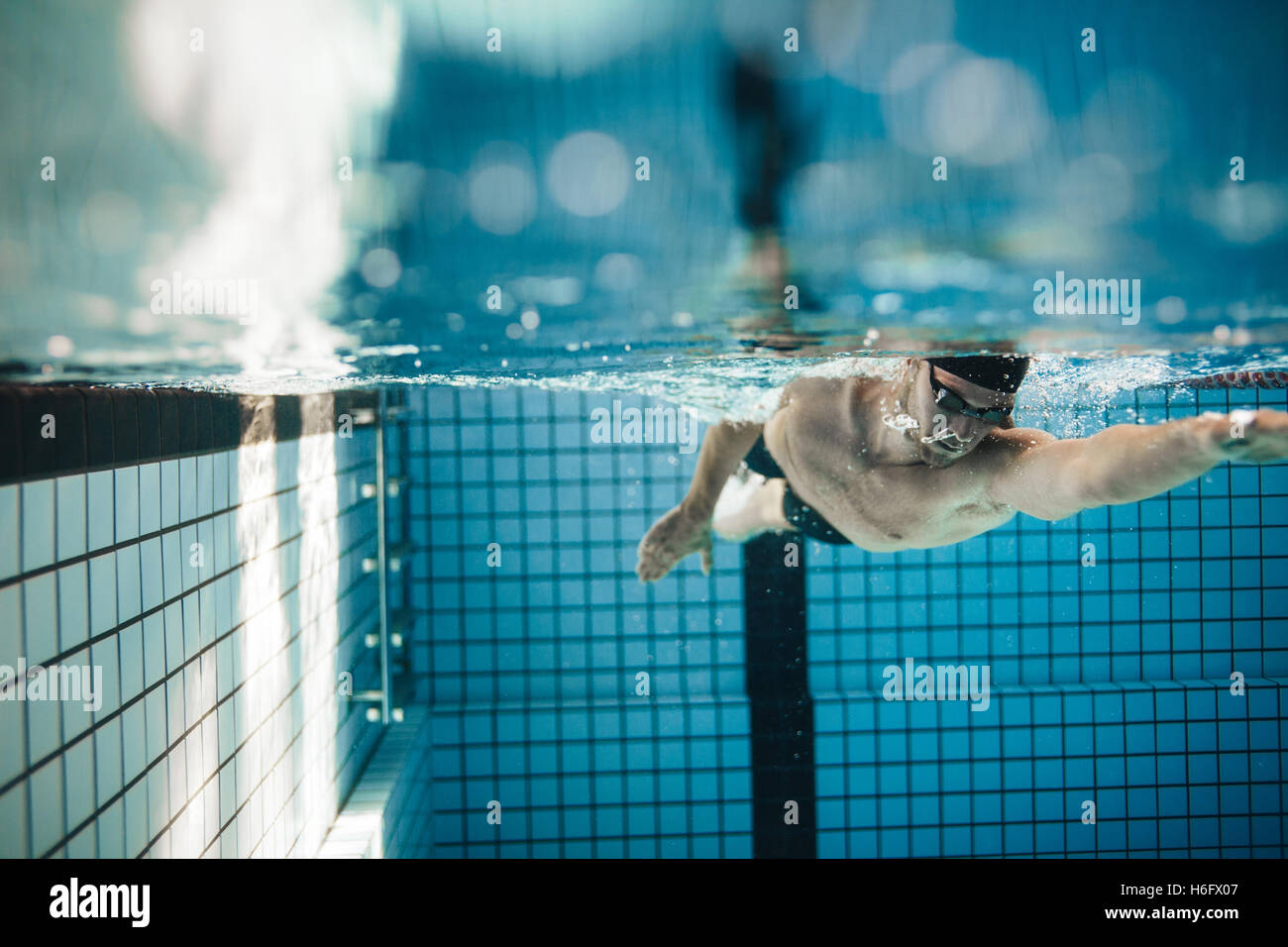 Fit young male swimmer training in the pool. Pro male swimmer in action ...