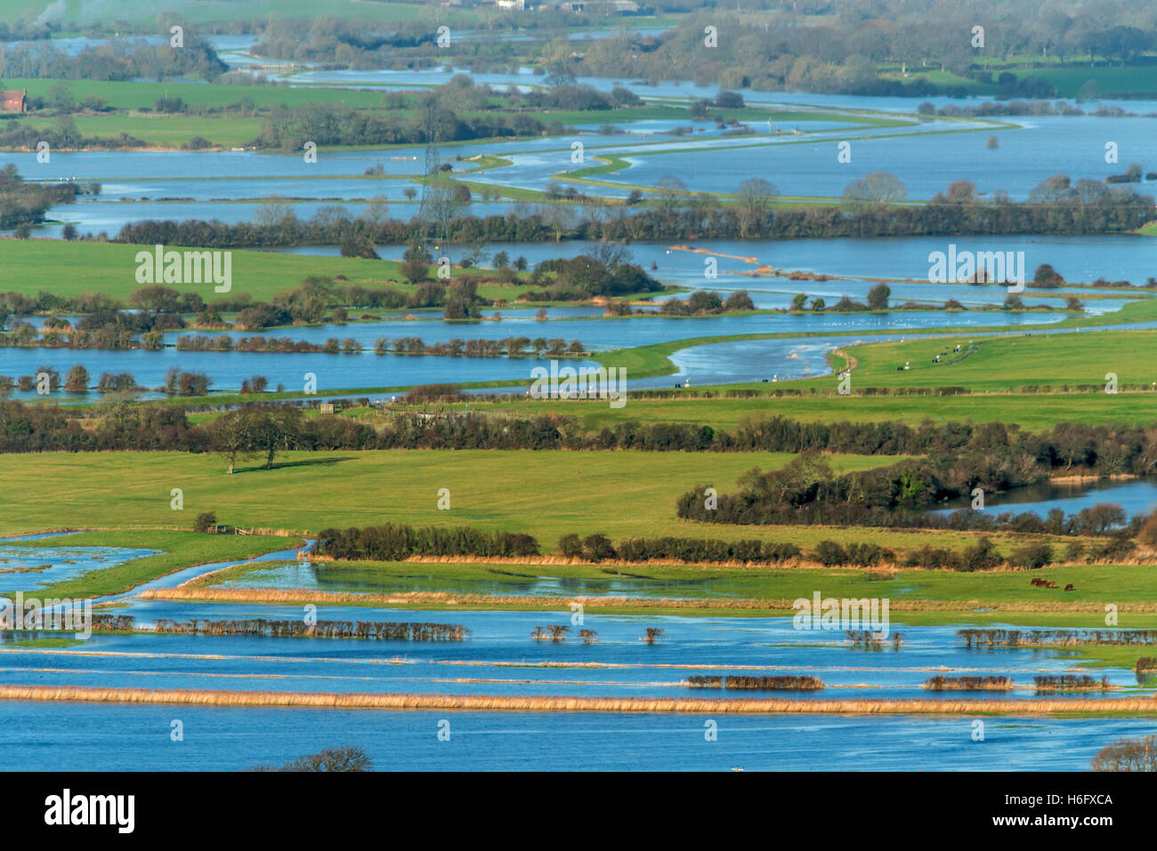 Upper beeding hi-res stock photography and images - Alamy