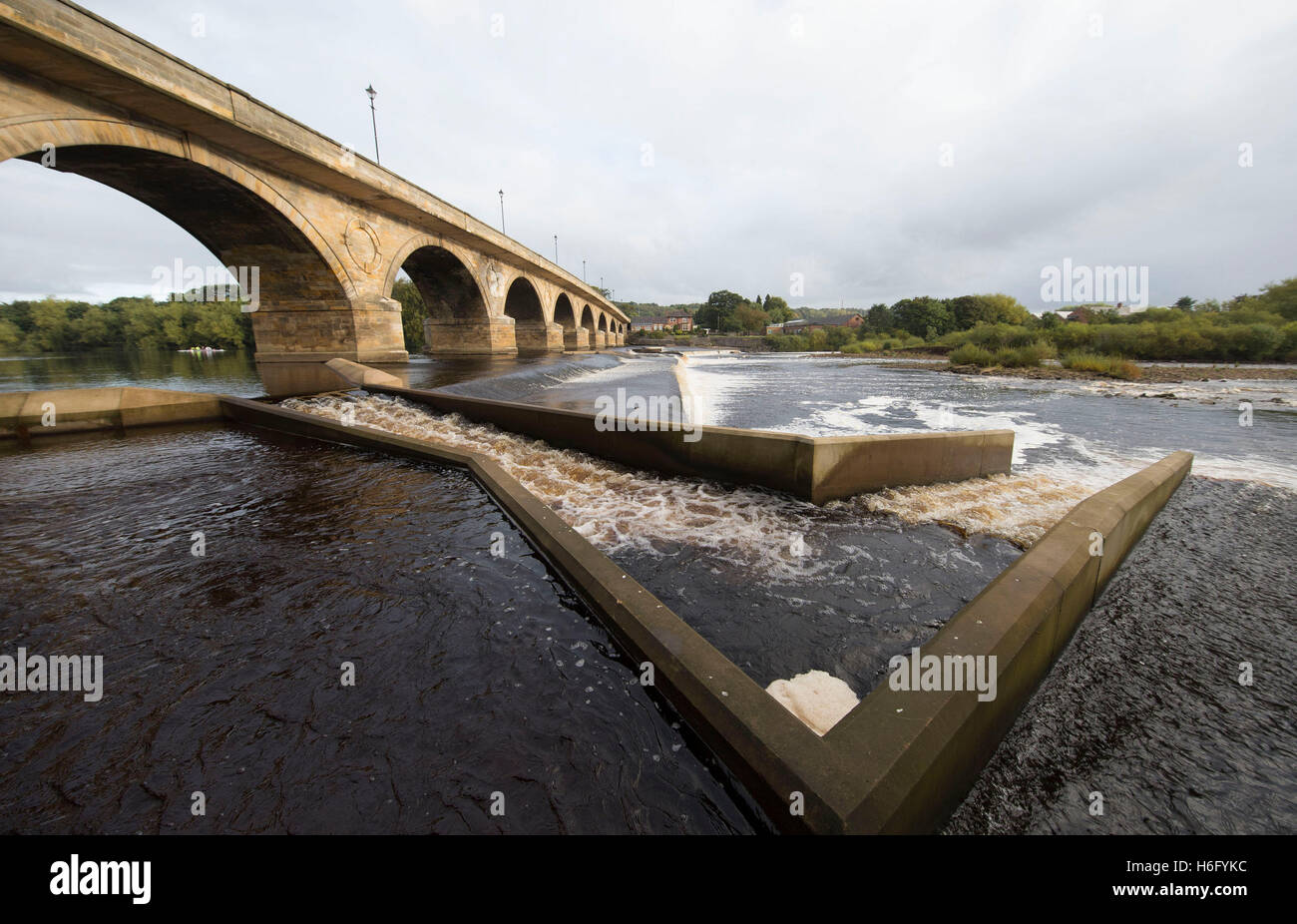 A fish pass on the River Tyne in Hexham, which has helped tens of ...