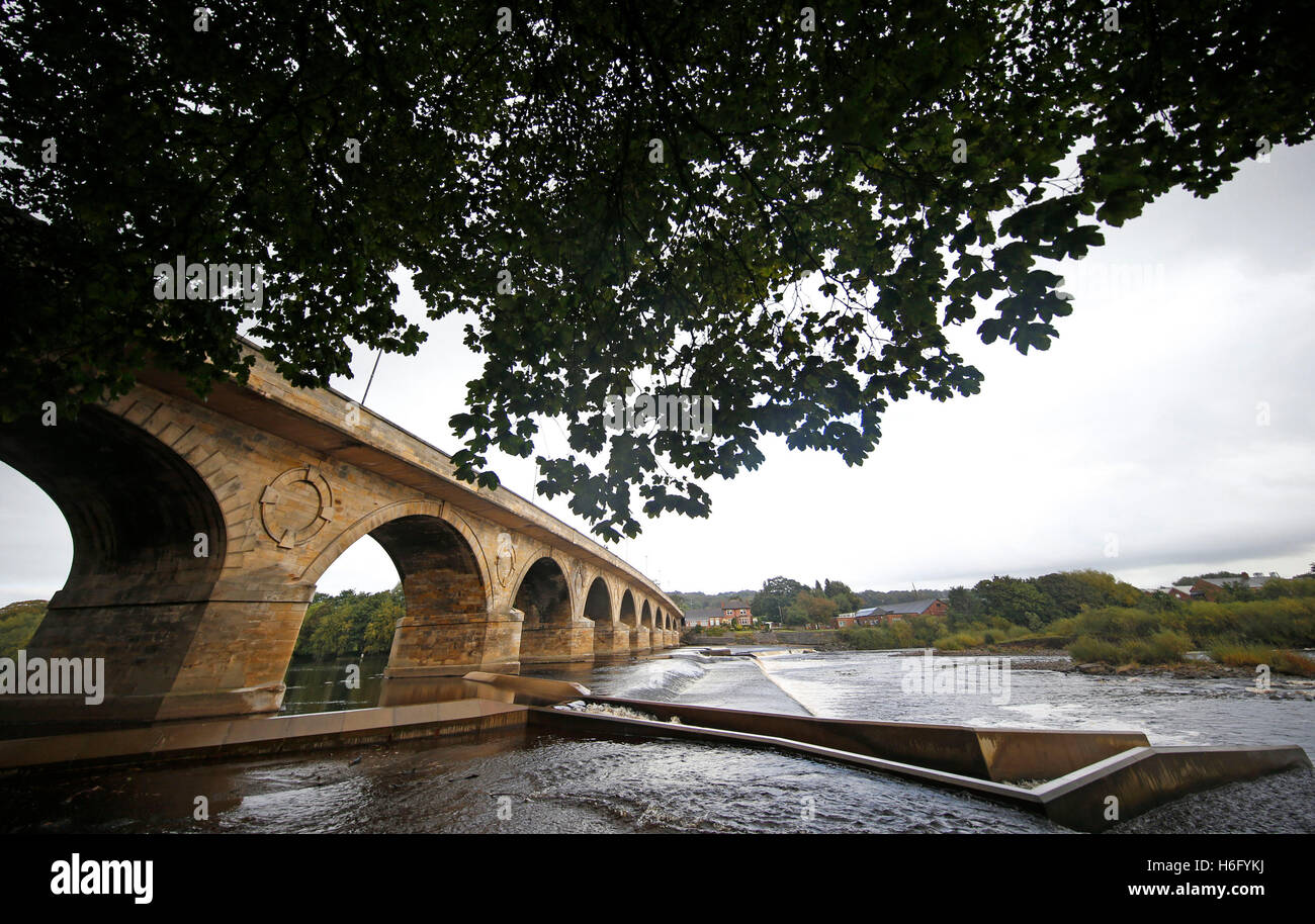 A fish pass on the River Tyne in Hexham, which has helped tens of ...