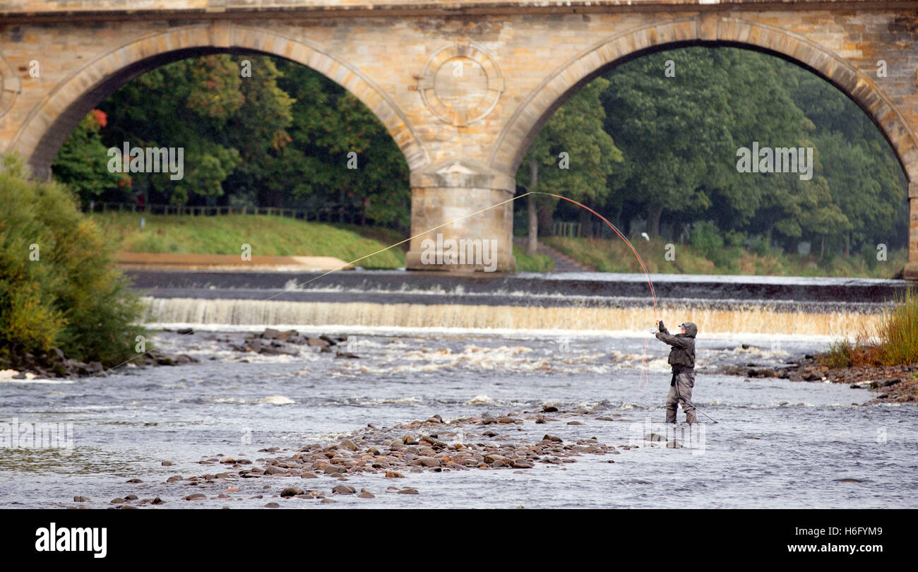 Hexham fish pass hi-res stock photography and images - Alamy