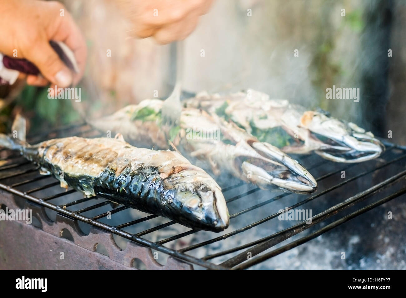 man checks the fish on the grill for readiness Stock Photo - Alamy