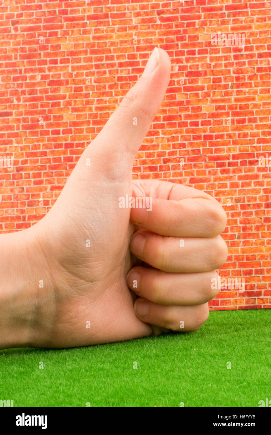Hand open for a gesture isolated on brick wall background Stock Photo ...