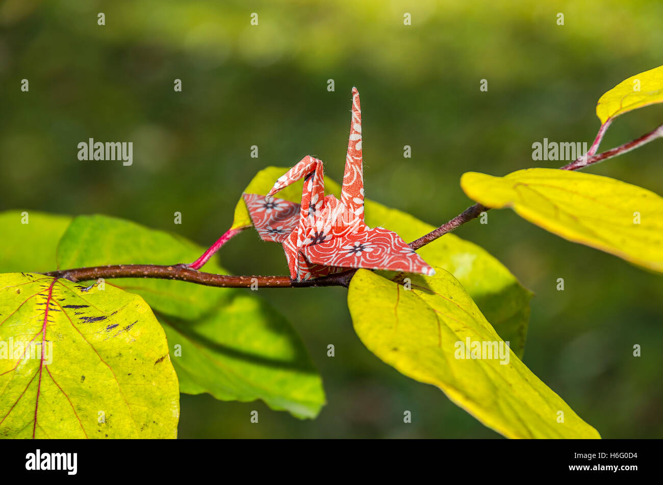 Origami paper crane made of original Japanese origami paper in a ...