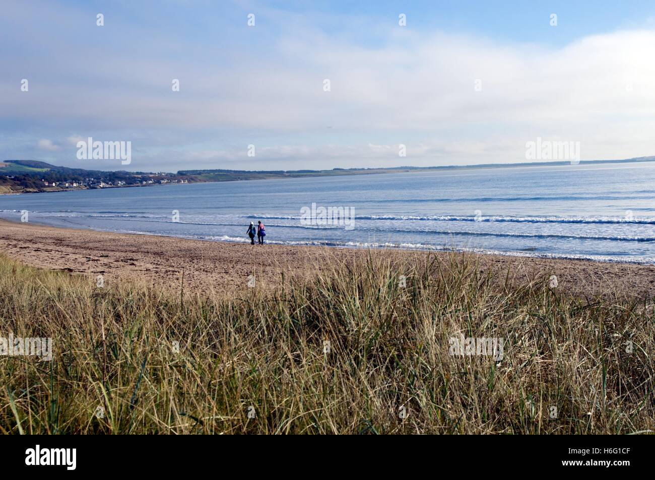 Healthy food campaign launch in Aberdeen with Richard Lochead Scottish ...