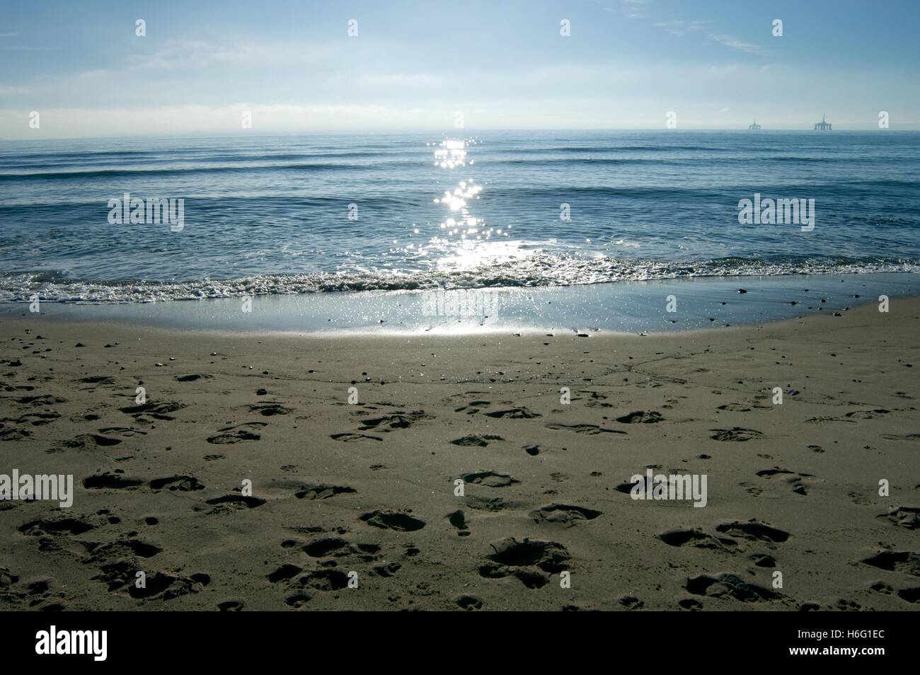 Healthy food campaign launch in Aberdeen with Richard Lochead Scottish ...