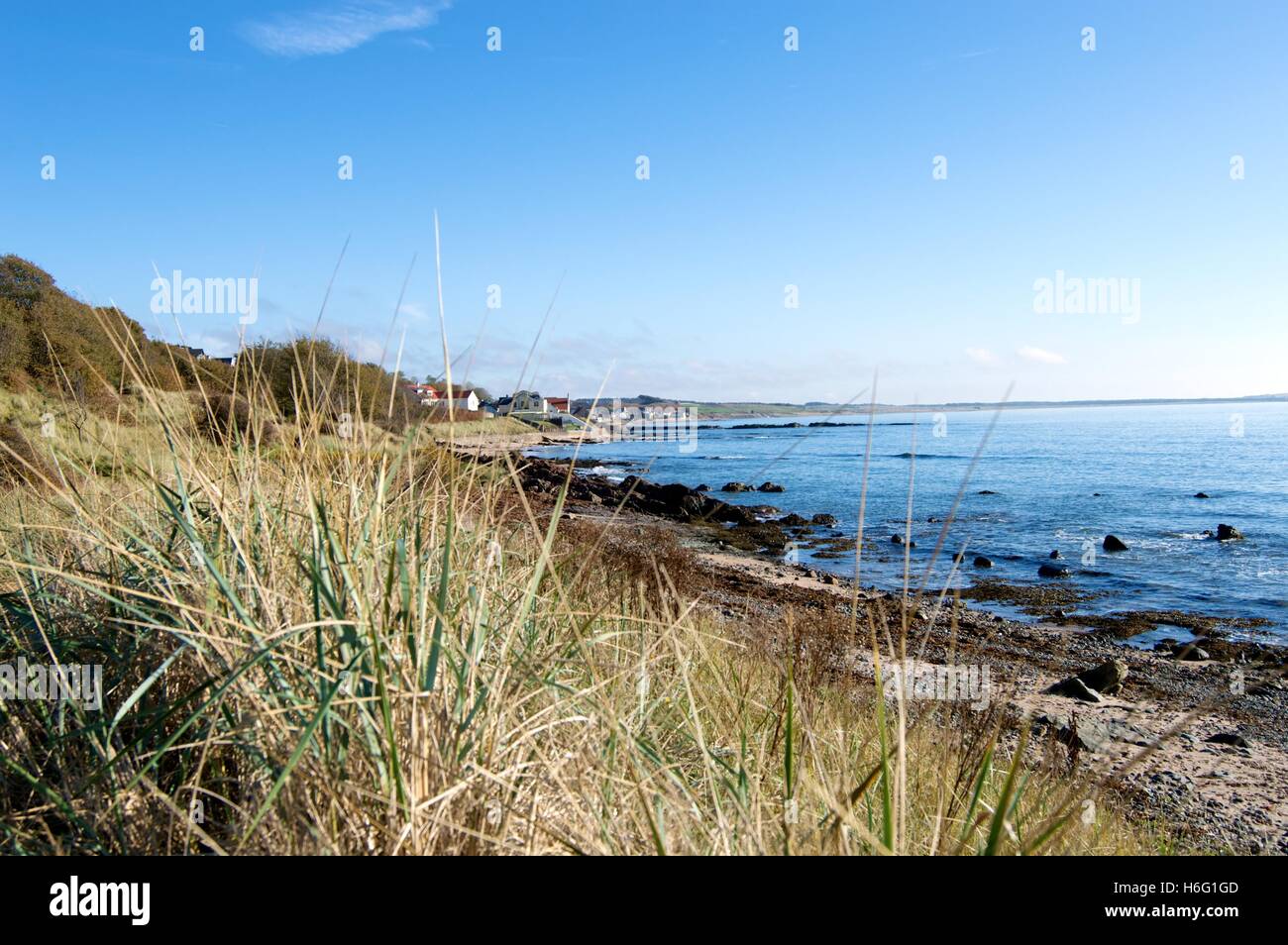 Healthy food campaign launch in Aberdeen with Richard Lochead Scottish ...