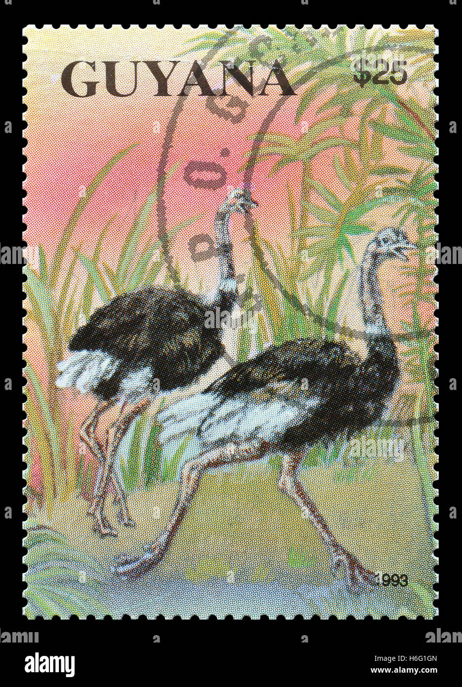 Guyana stamp 1993 Stock Photo - Alamy