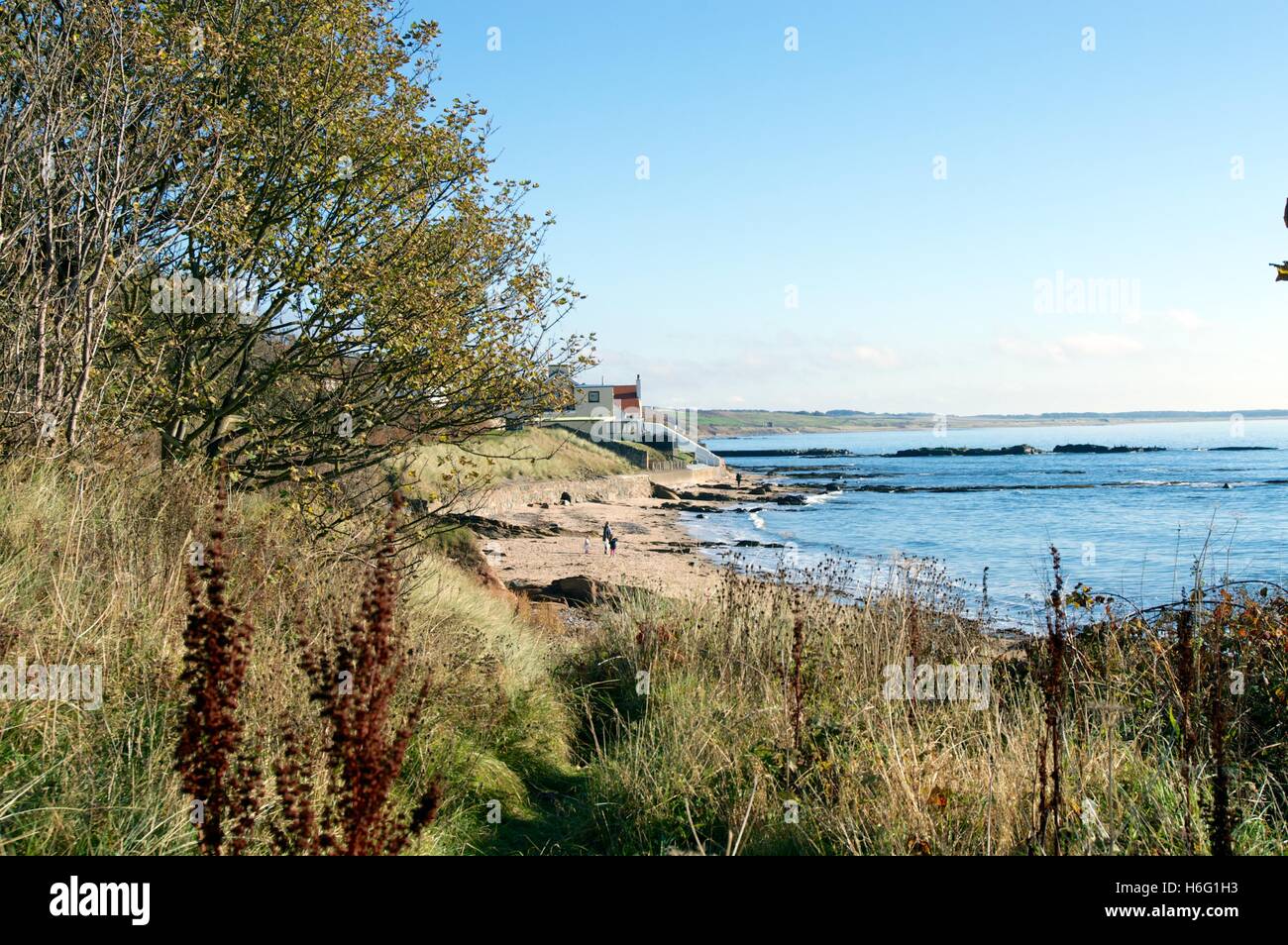 Healthy food campaign launch in Aberdeen with Richard Lochead Scottish ...