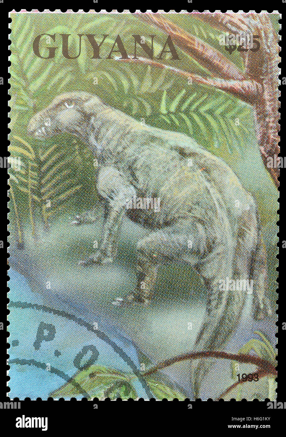 Guyana Postage Stamp High Resolution Stock Photography and Images - Alamy