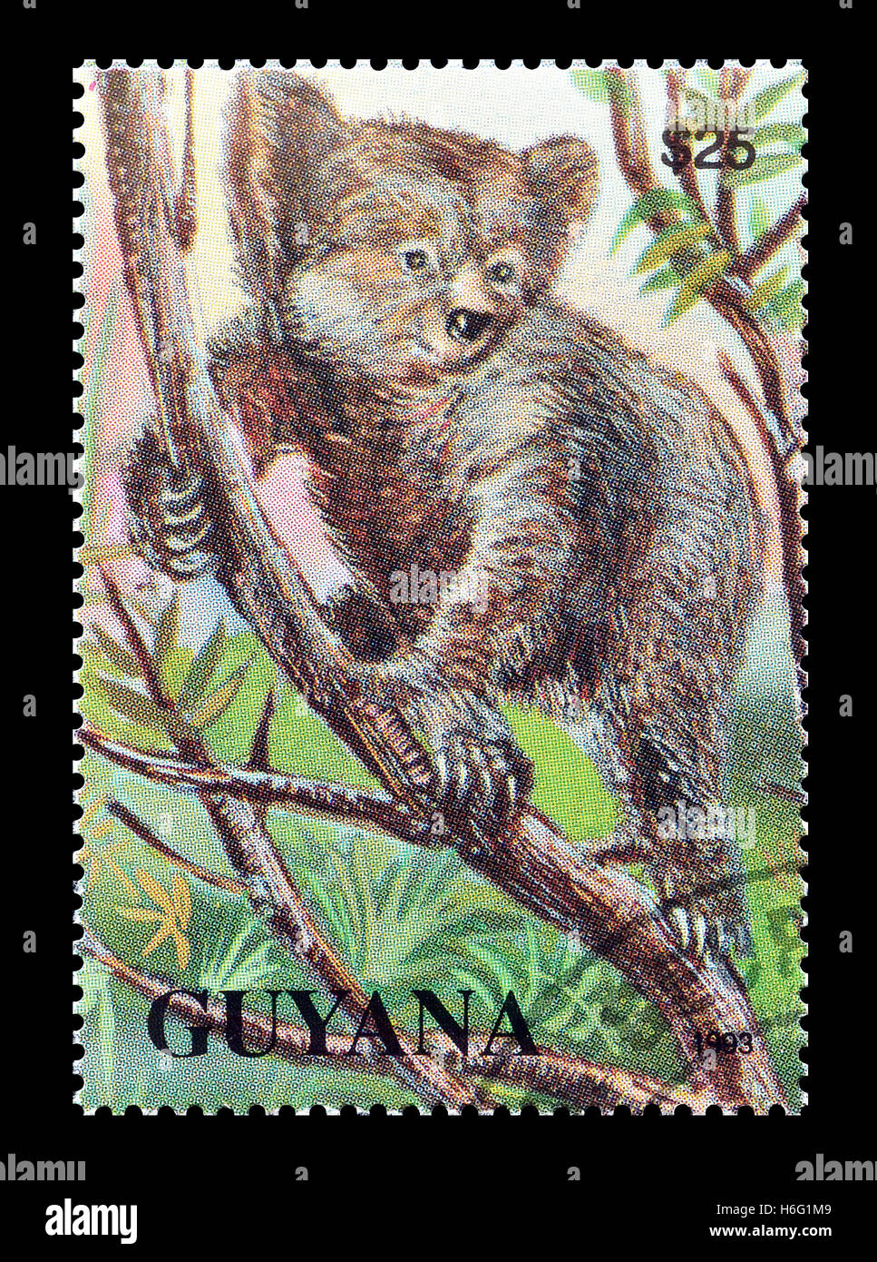 Guyana Postage Stamp High Resolution Stock Photography and Images - Alamy