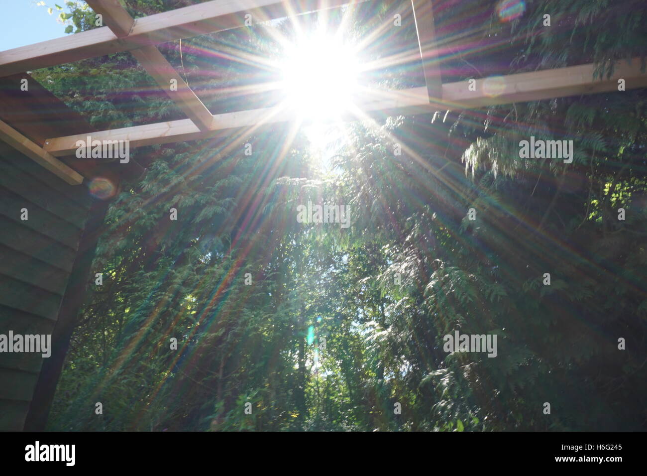 Sunny day in UK Stock Photo - Alamy