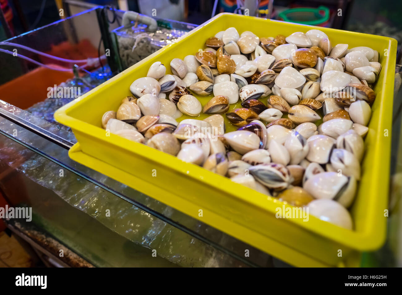 Live seafood hi-res stock photography and images - Alamy
