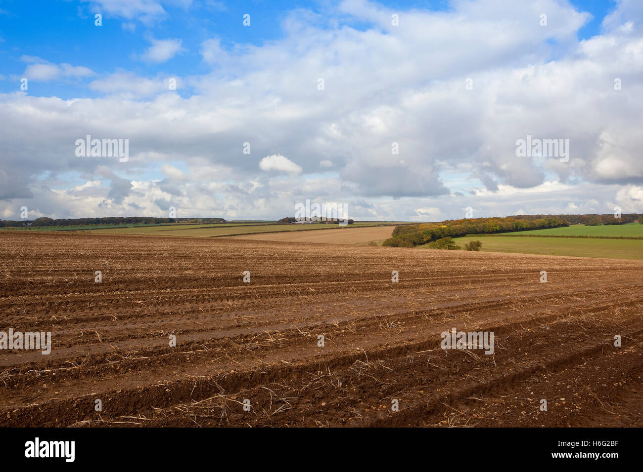 Plow Soil Texture High Resolution Stock Photography and Images - Alamy