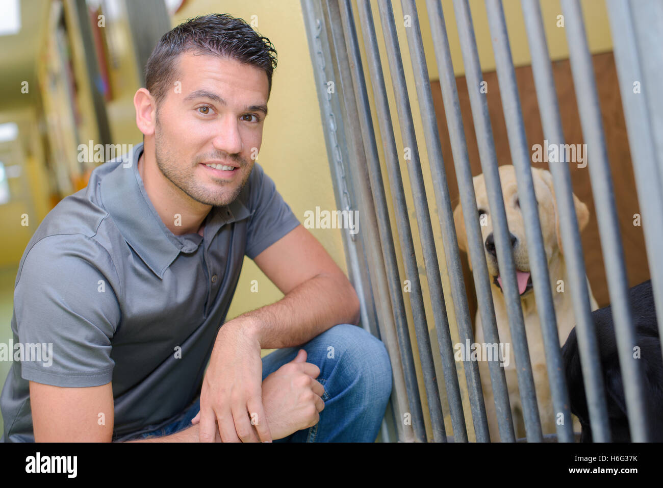 Man next to dog kennel Stock Photo - Alamy