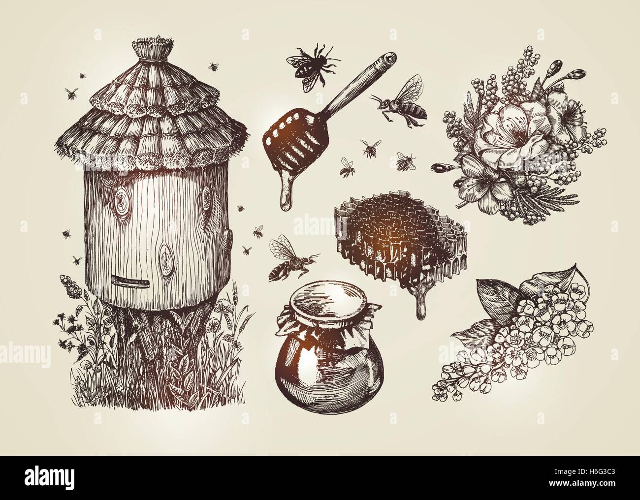 Hand drawn honey, beekeeping, bees. Collection sketch vector ...