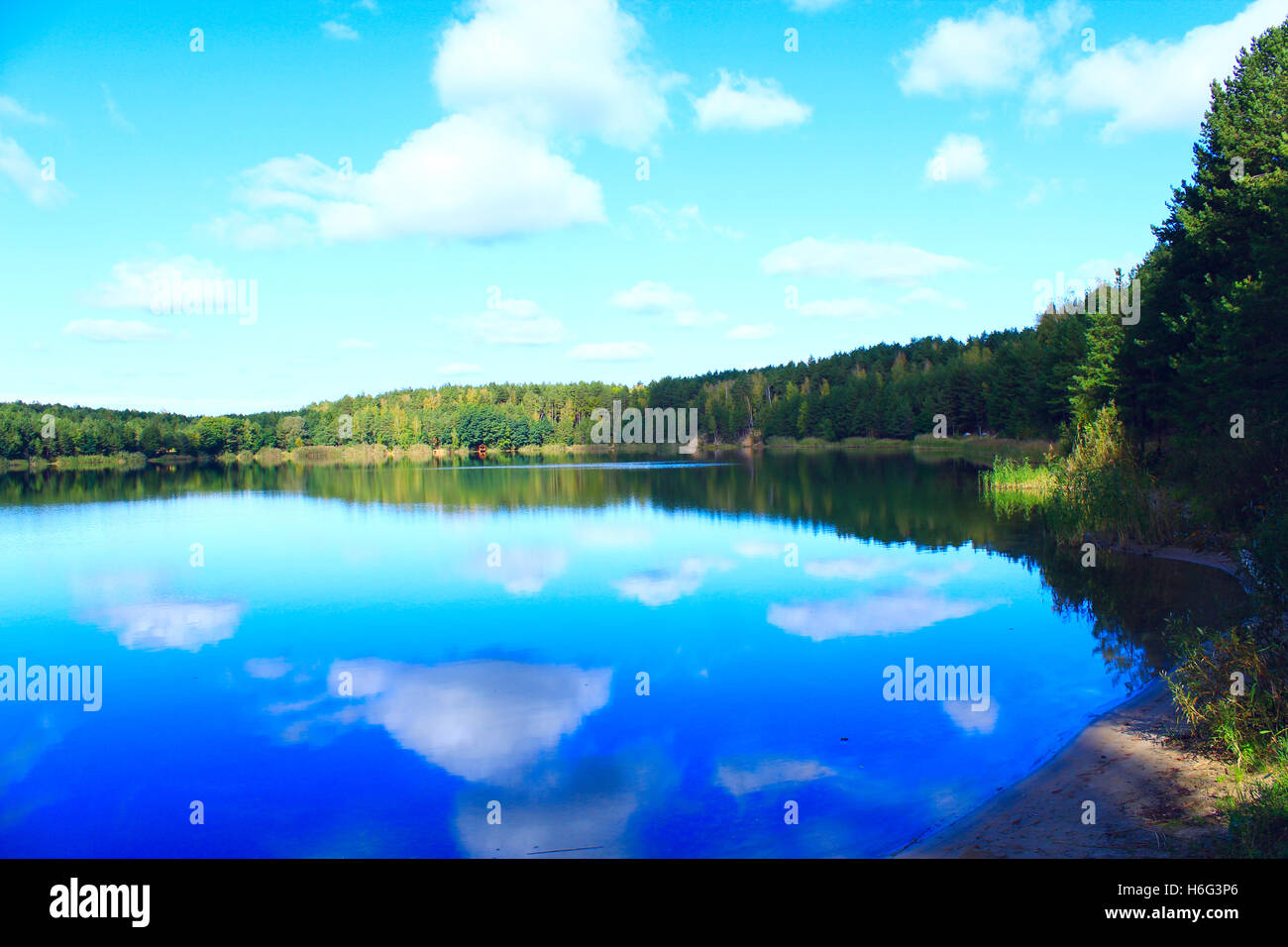 Clean calm forest lake hi-res stock photography and images - Alamy