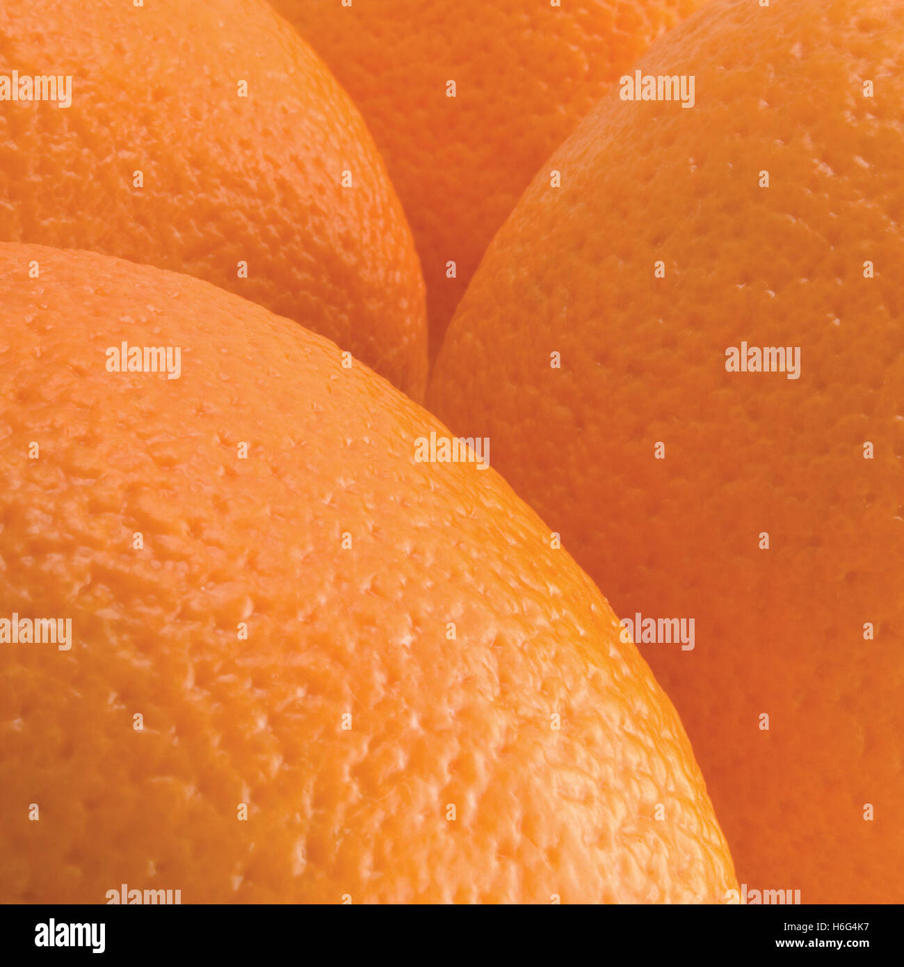 Oranges, orange fruits peel texture macro closeup, detailed studio shot ...