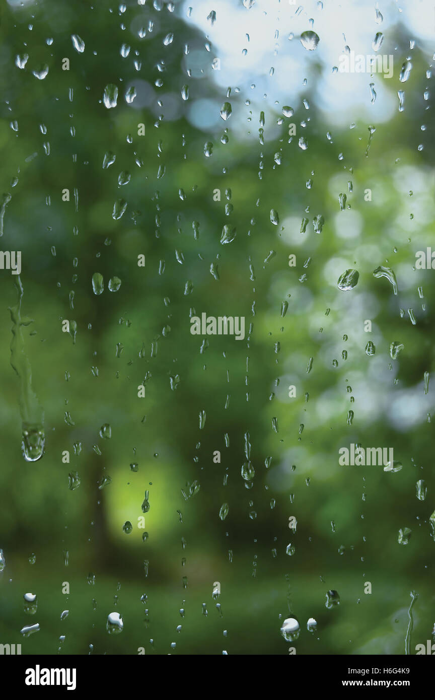 Rainy summer day, raindrops on window glass, large detailed vertical ...