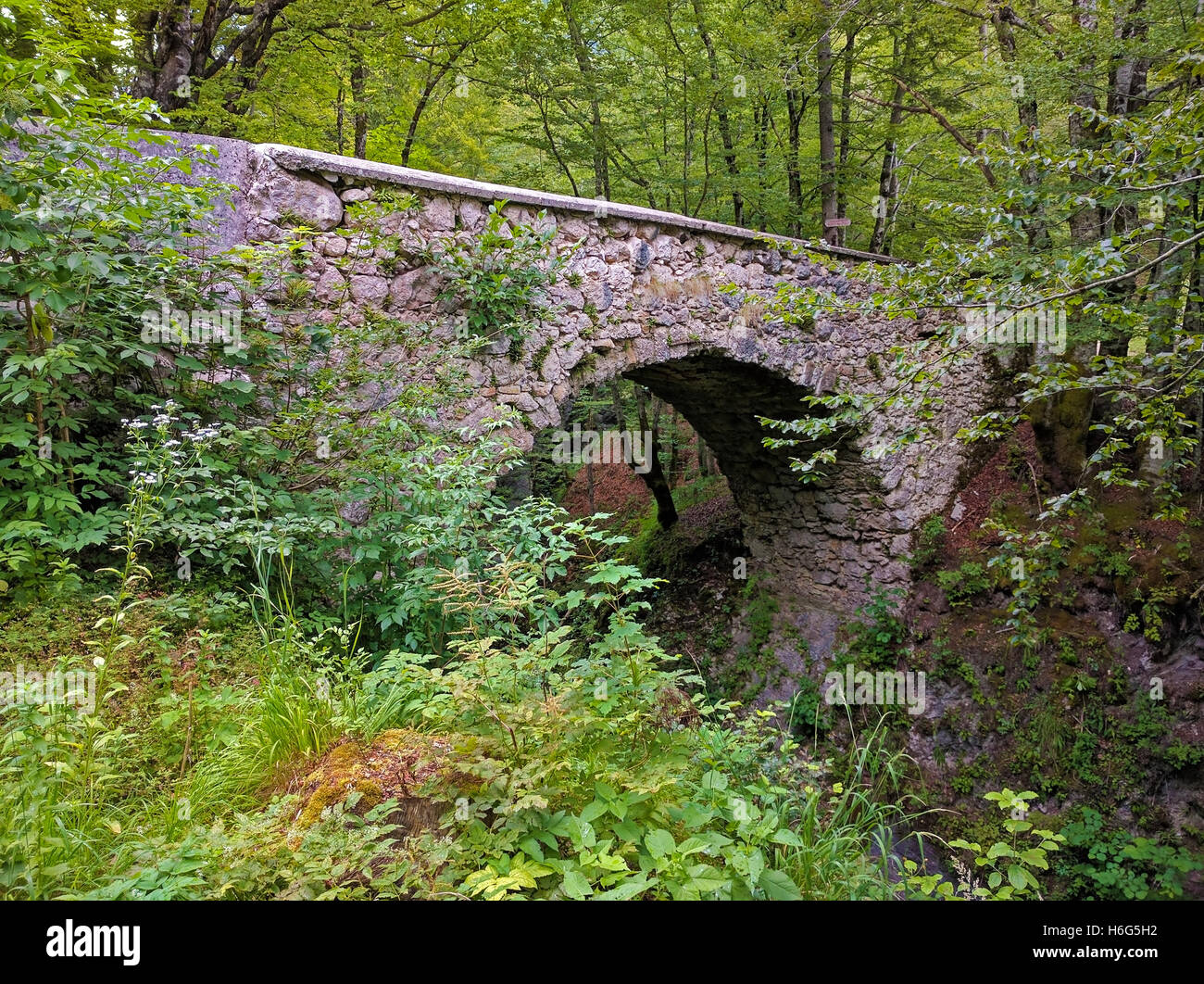 Devil's bridge over Mostnica Gorge near Bohinj in Slovenia Stock Photo ...