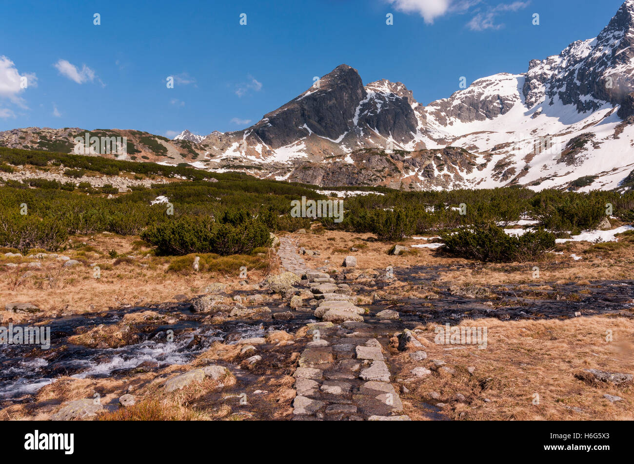 Panorama mountain spring landscape Stock Photo - Alamy